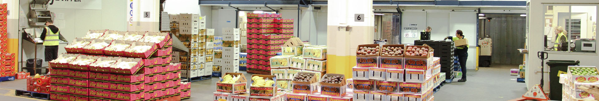 Fresh Fruit Marketing - Jetbest Group