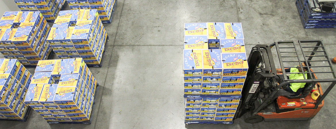 Sydney Produce Markets, Homebush, Sydney - Jetbest Group